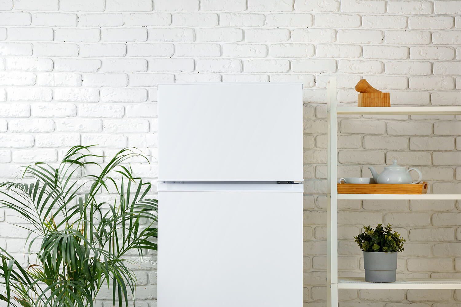 All Types of Refridgerators & Freezers We Remove in Sydney