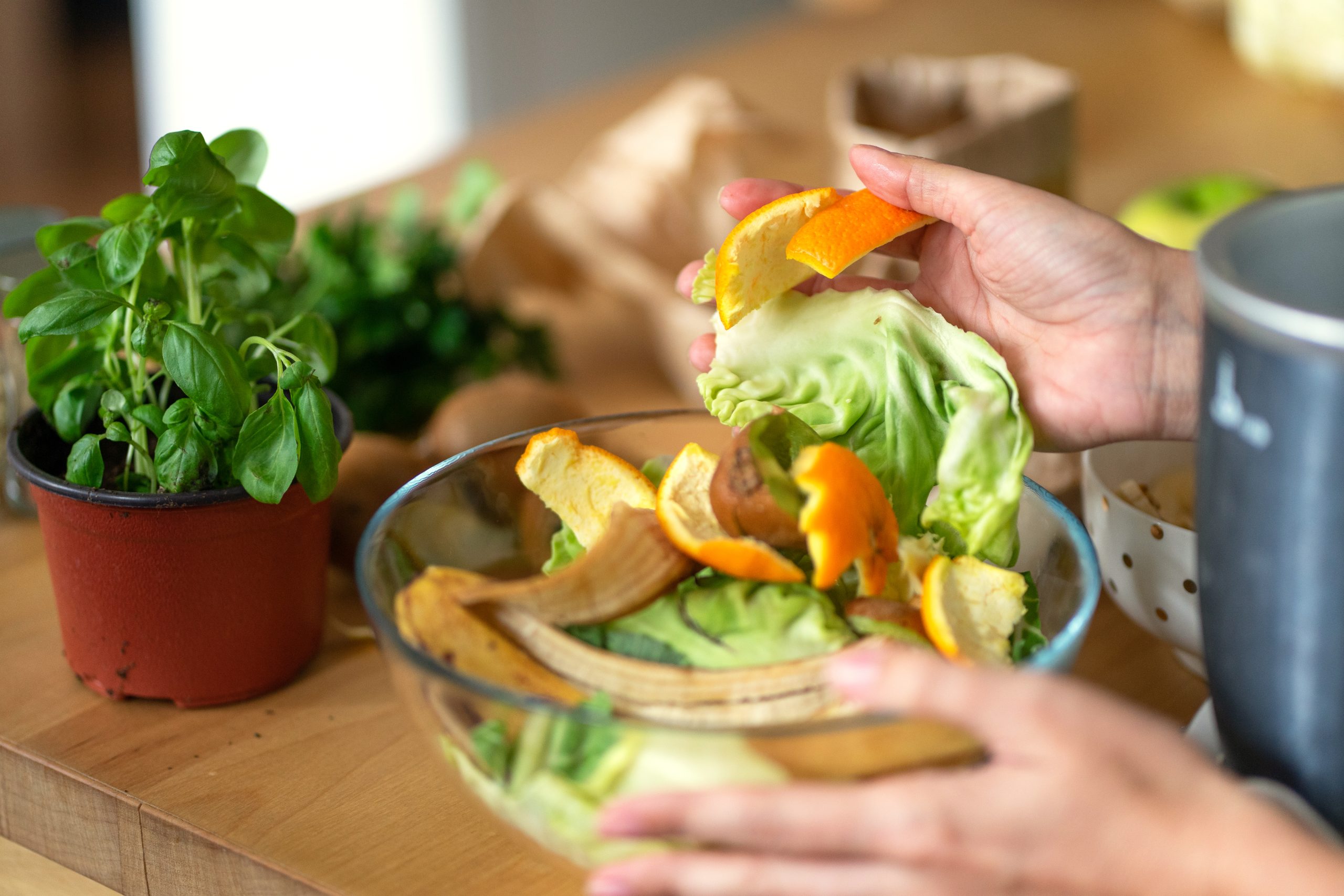 Australian Food Waste Statistics & Trends (2026) - Aus Rubbish